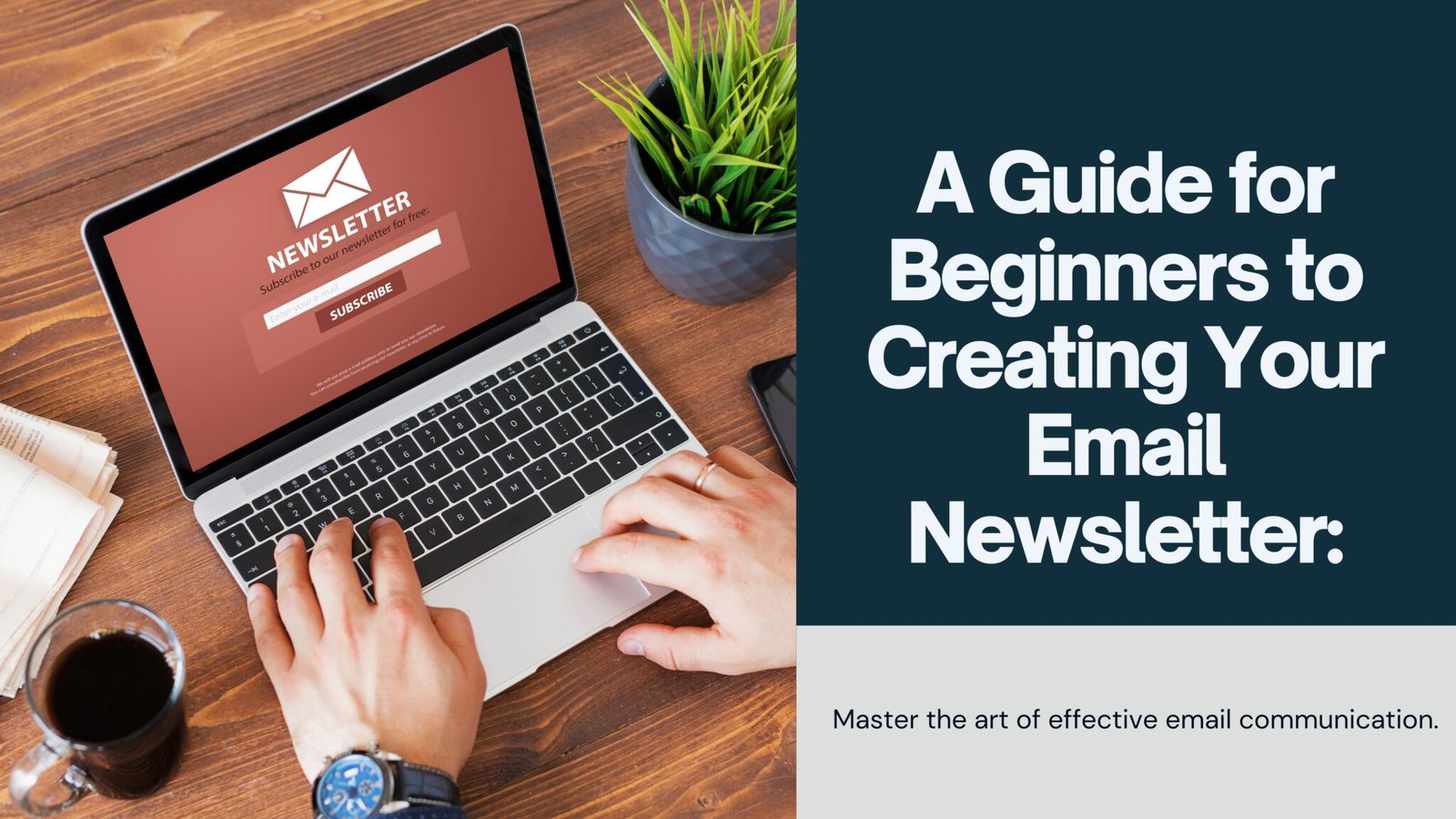 How to Create an Email Newsletter in Easy Steps (Completely Free) 2024 ...